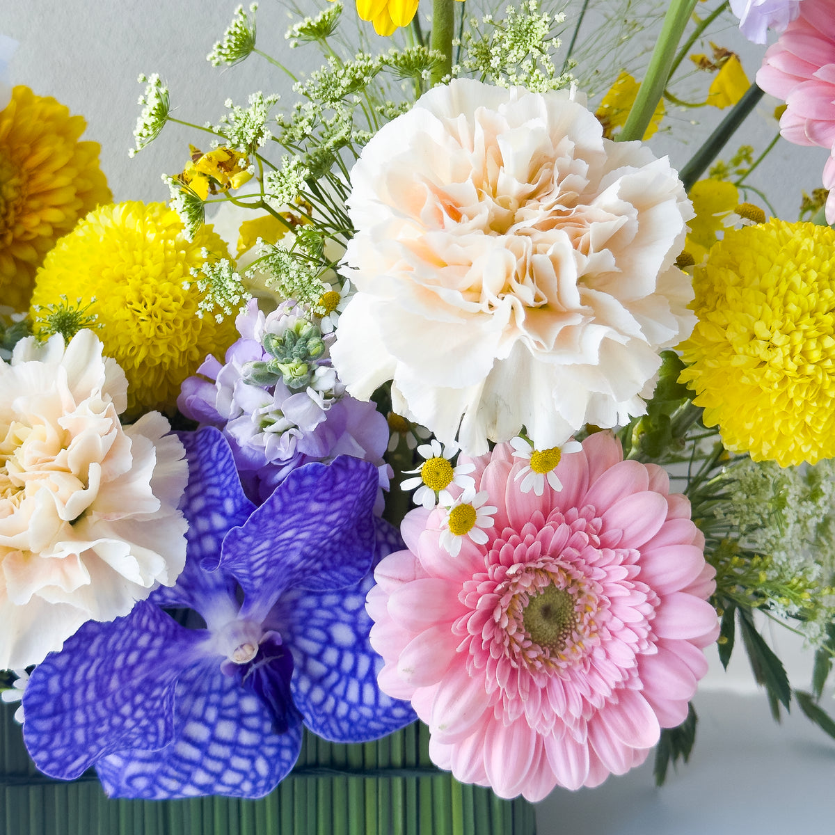 Blooming Flutter – SOL Floral Boutique