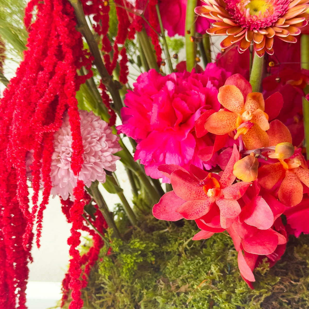 Ruby Reverie – SOL Floral Boutique